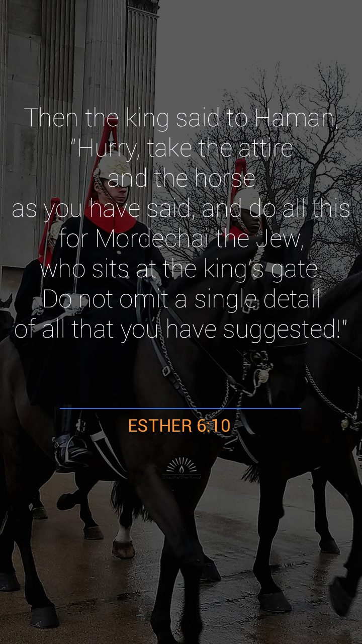 Esther Chapter 6 | Daily Holy Bible Reading