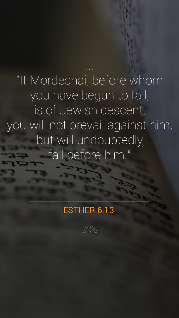 Esther Chapter 6 | Daily Holy Bible Reading