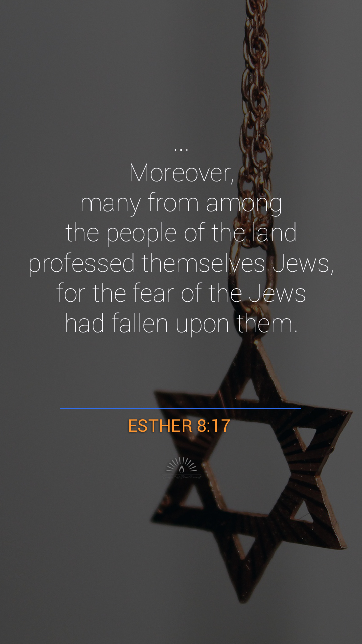 Esther Chapter 8 | Daily Holy Bible Reading