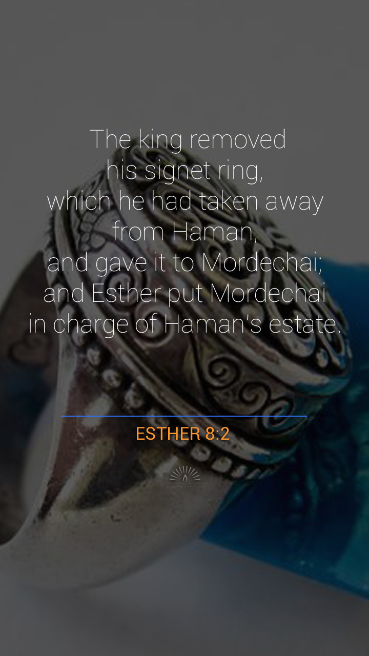 Esther Chapter 8 | Daily Holy Bible Reading