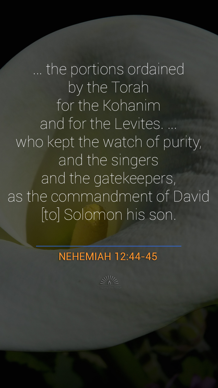 Nehemiah Chapter 12 | Daily Holy Bible Reading