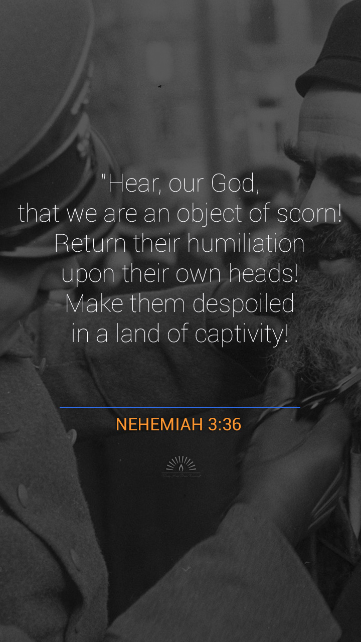 Nehemiah Chapter 3 | Daily Holy Bible Reading