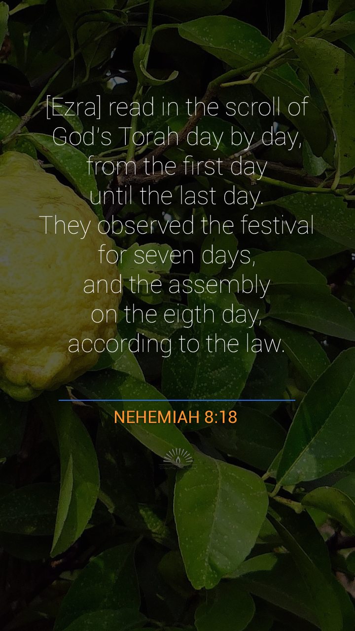 Nehemiah Chapter 8 | Daily Holy Bible Reading