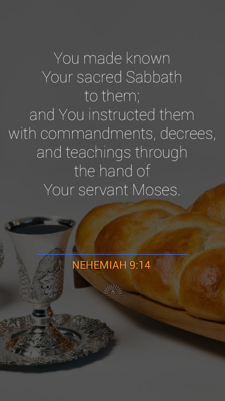 Nehemiah Chapter 9 | Daily Holy Bible Reading