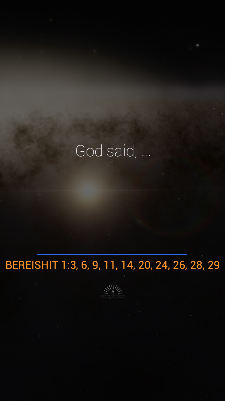 Genesis Chapter 1 Daily Holy Bible Reading