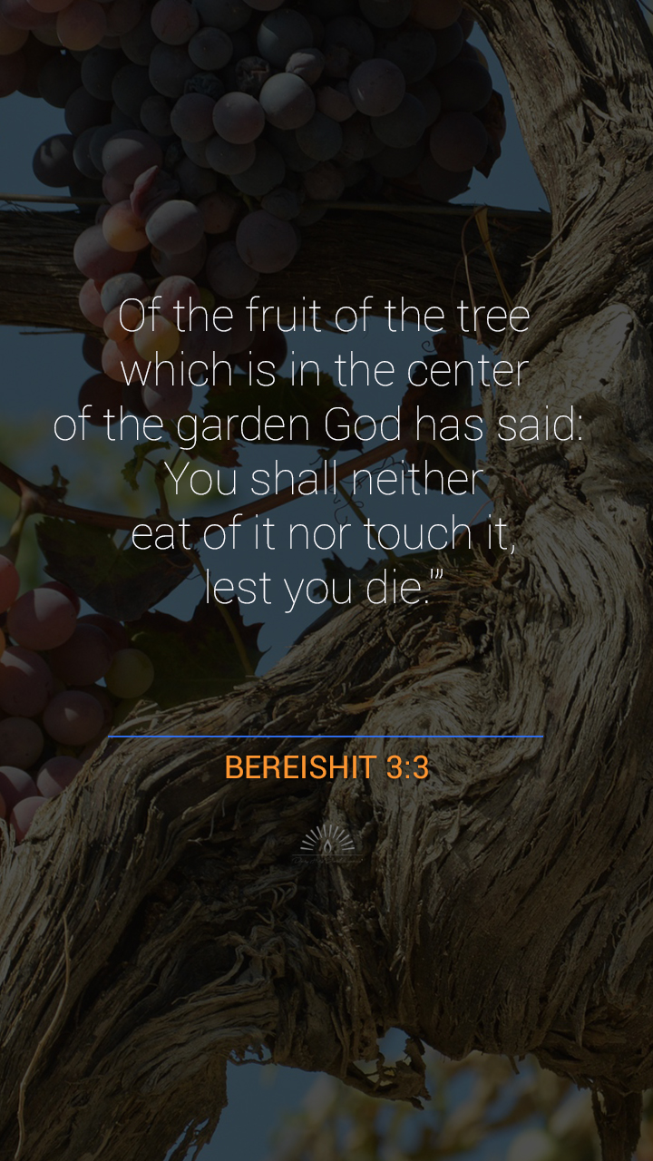 GENESIS Chapter 3 | Daily Holy Bible Reading