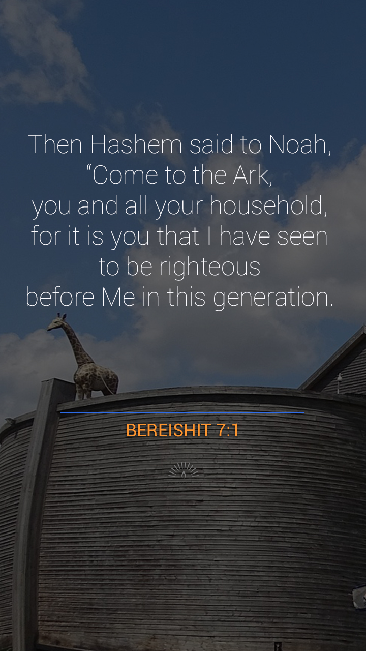 Genesis Chapter 7 One Chapter A Day