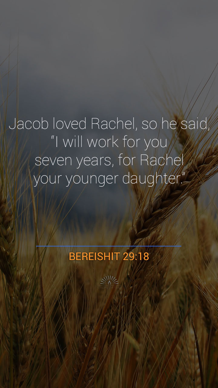 GENESIS Chapter 29 | Daily Holy Bible Reading