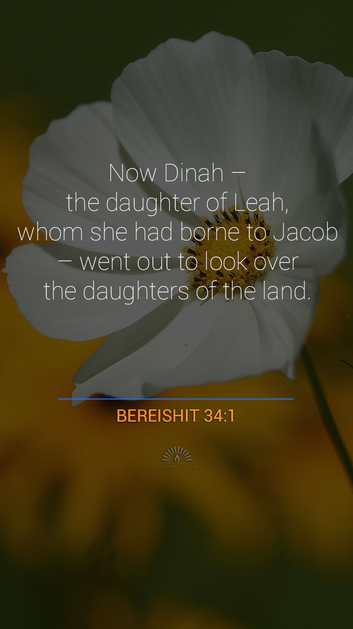Genesis Chapter 34 | One Chapter A Day