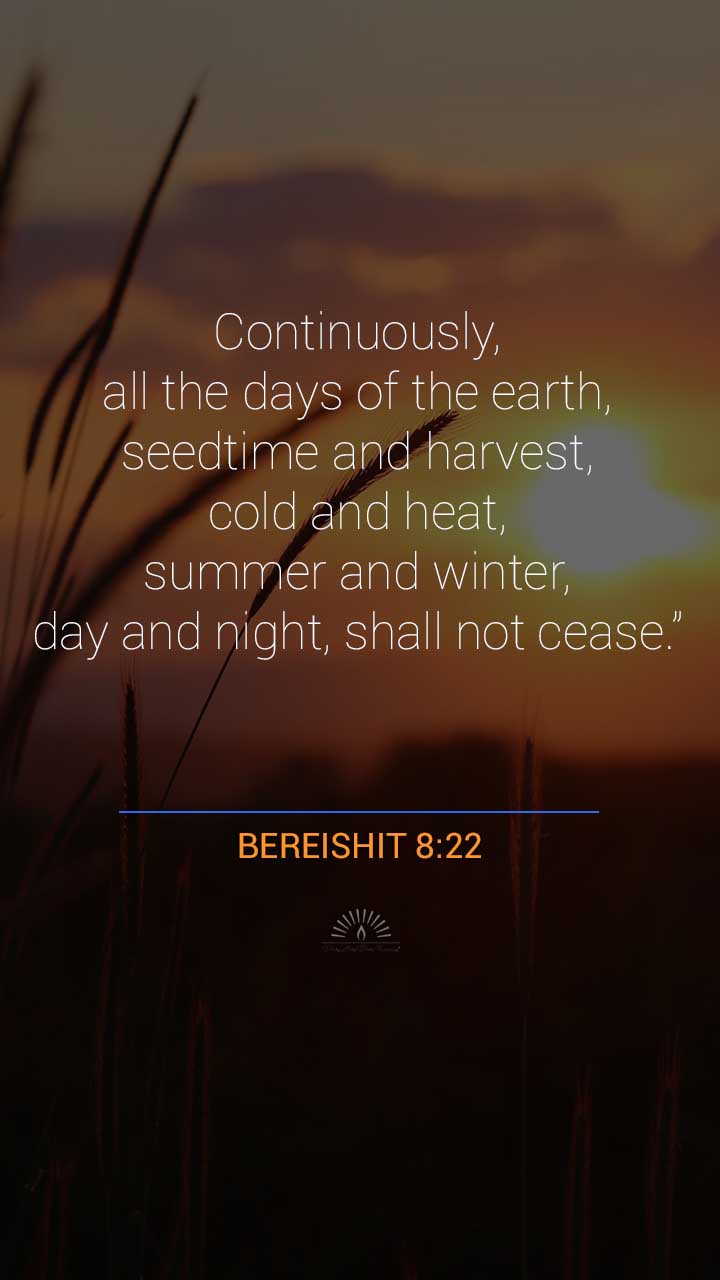 Genesis Chapter 8 | One Chapter A Day