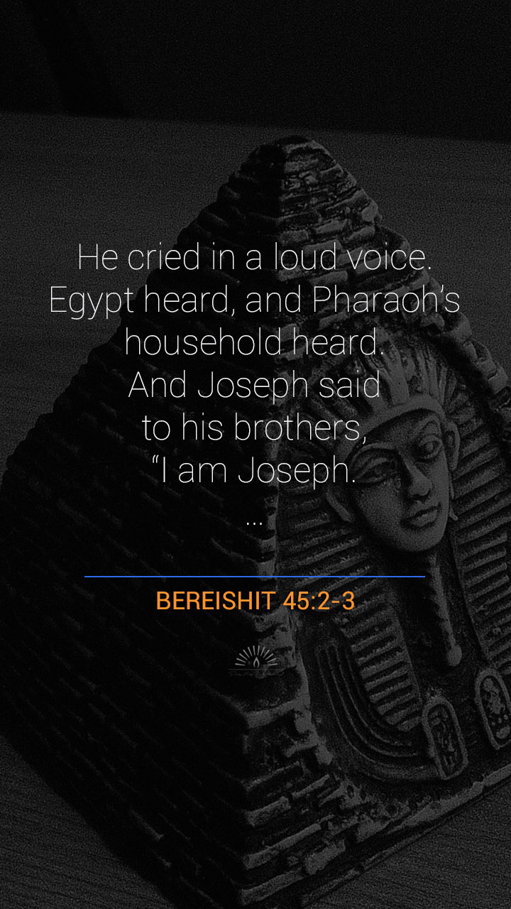 GENESIS Chapter 45 | Daily Holy Bible Reading