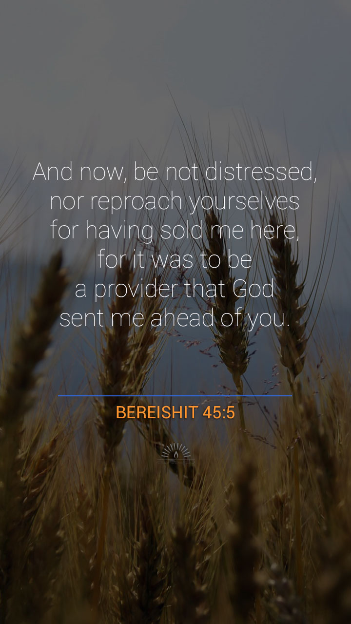 GENESIS Chapter 45 | Daily Holy Bible Reading