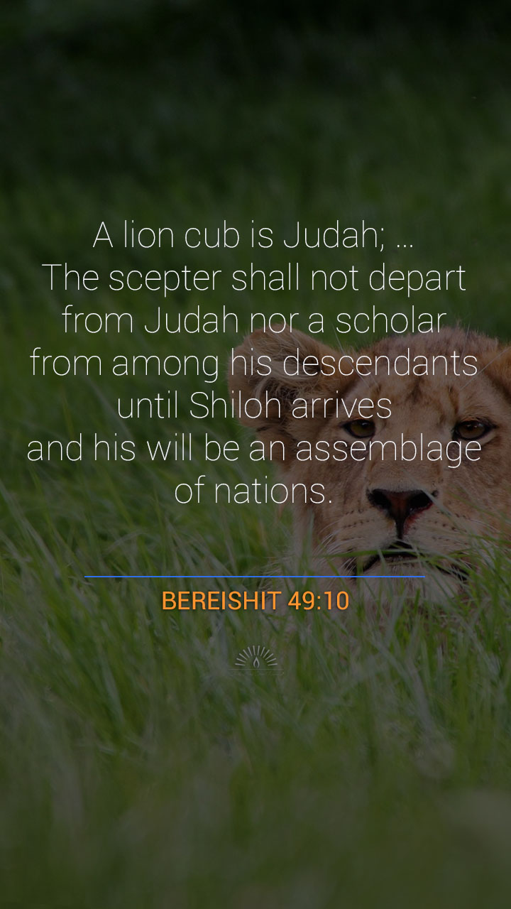 Genesis Chapter 49 | One Chapter A Day