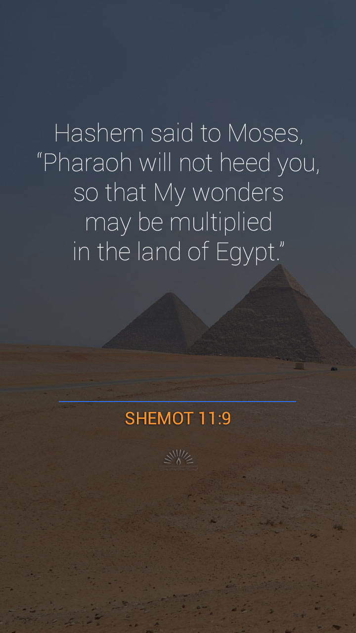 Exodus Chapter 11 | One Chapter A Day