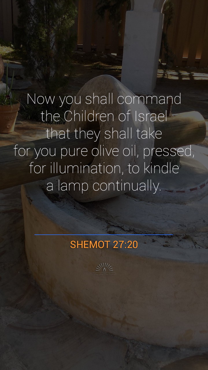 Exodus Chapter 27 | One Chapter A Day