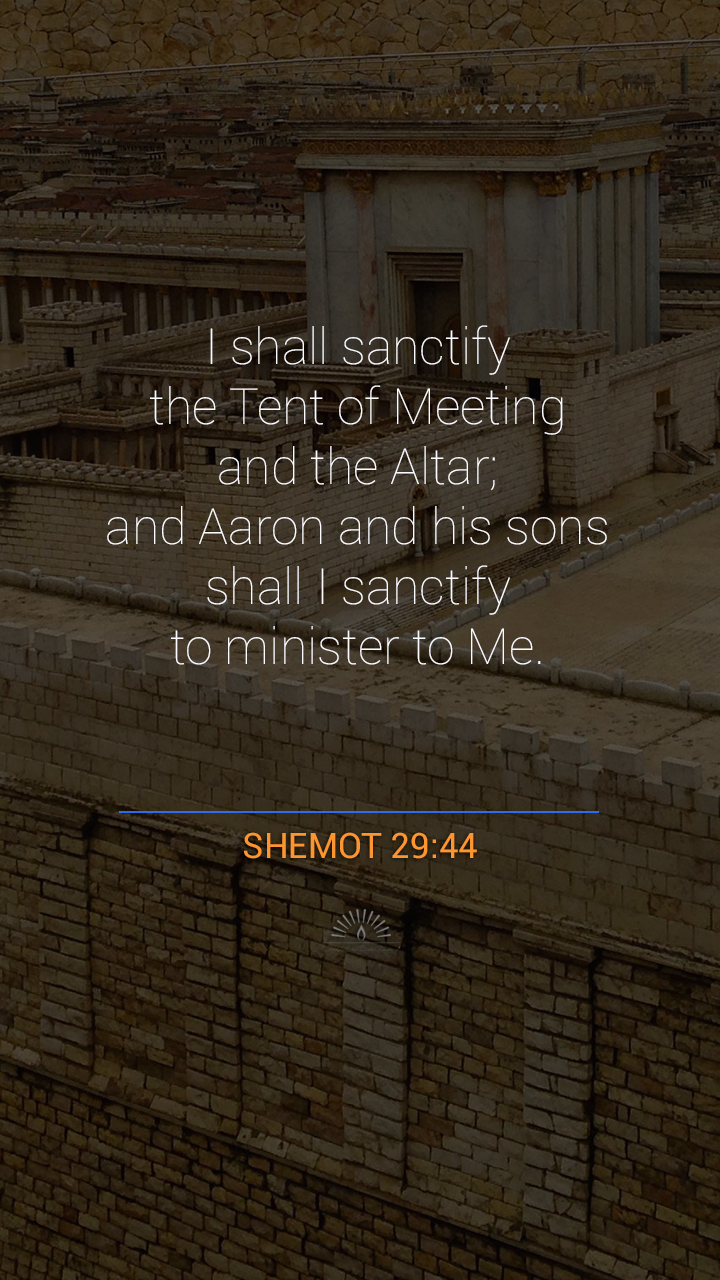 EXODUS Chapter 29 | Daily Holy Bible Reading