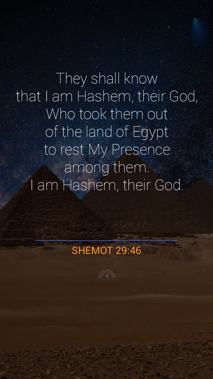 EXODUS Chapter 29 | Daily Holy Bible Reading