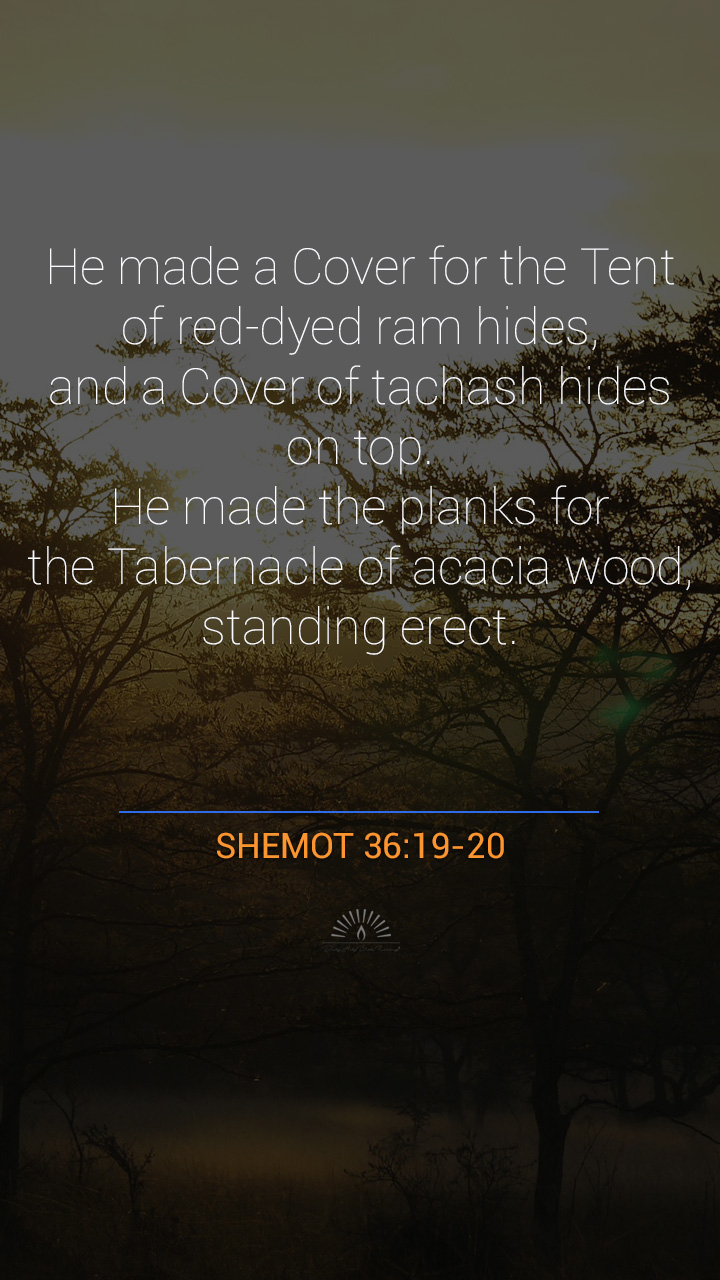 EXODUS Chapter 36 | Daily Holy Bible Reading