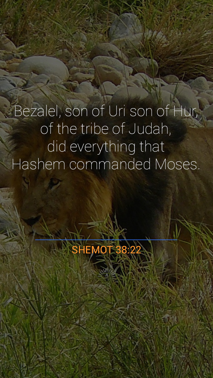 Exodus Chapter 38 | One Chapter A Day