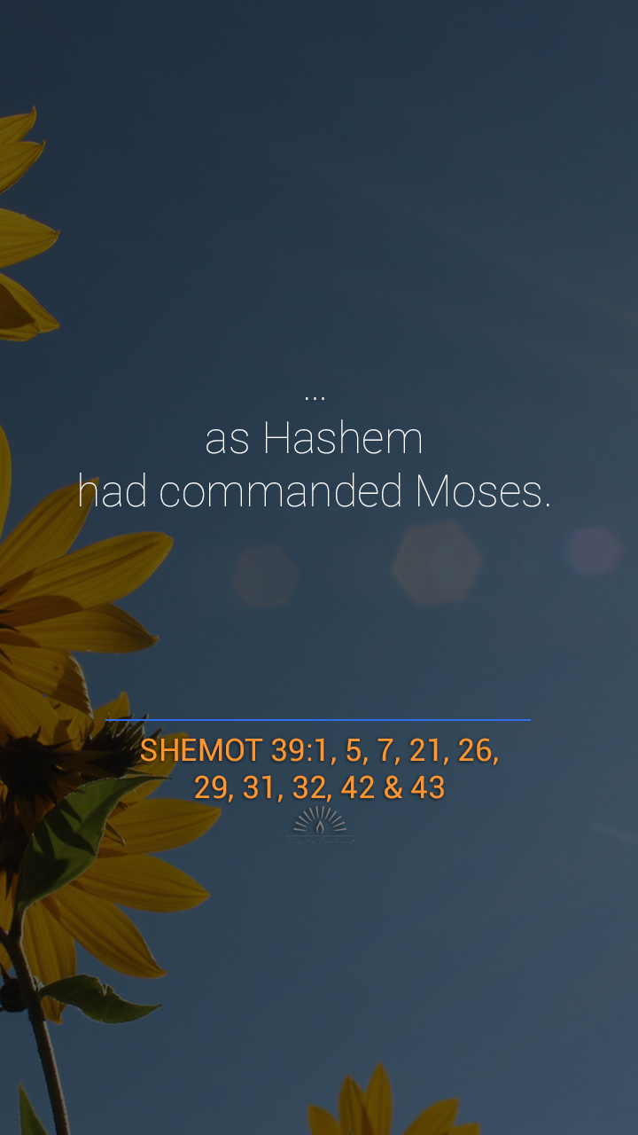 EXODUS Chapter 39 | Daily Holy Bible Reading