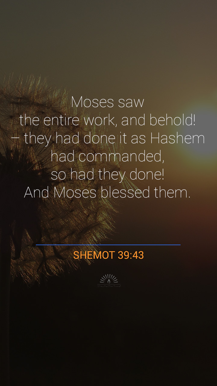 Exodus Chapter 39 | One Chapter A Day