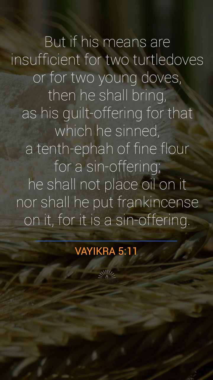 LEVITICUS Chapter 5 | Daily Holy Bible Reading