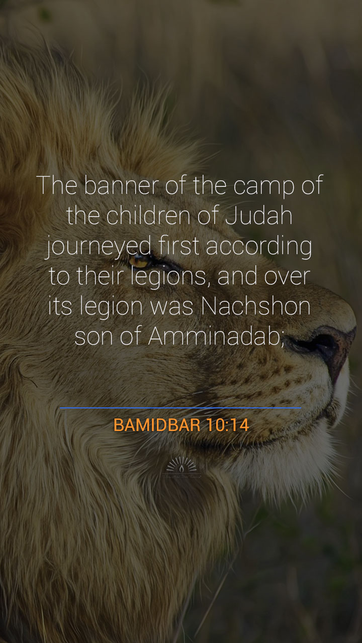 NUMBERS Chapter 10 | Daily Holy Bible Reading