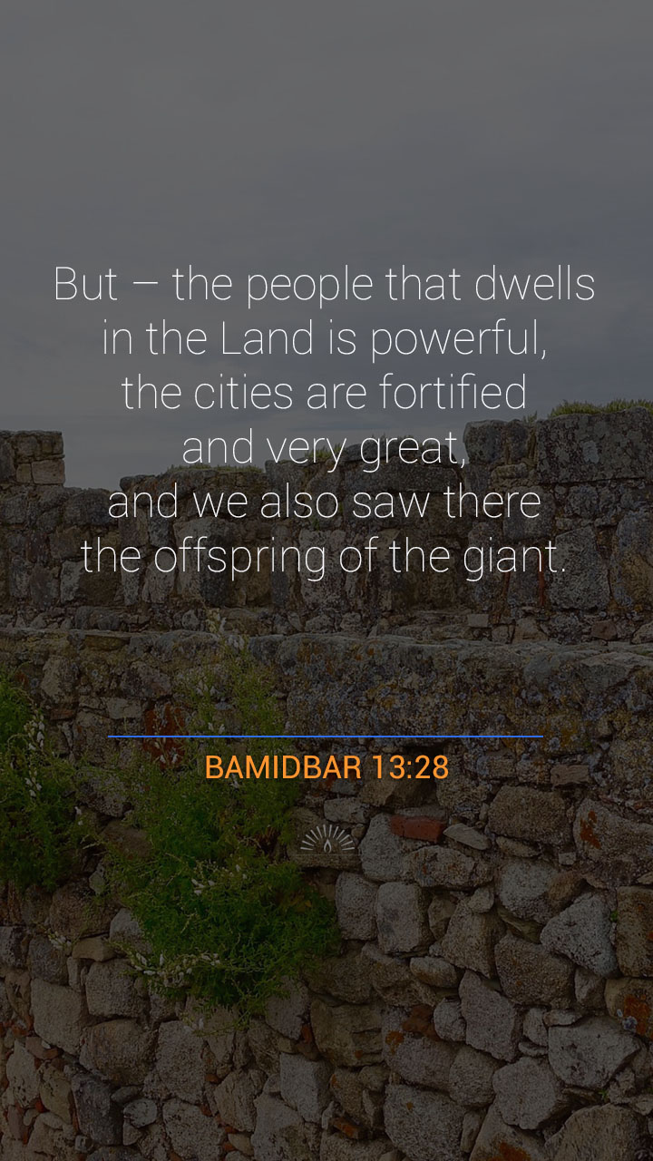 NUMBERS Chapter 13 | Daily Holy Bible Reading