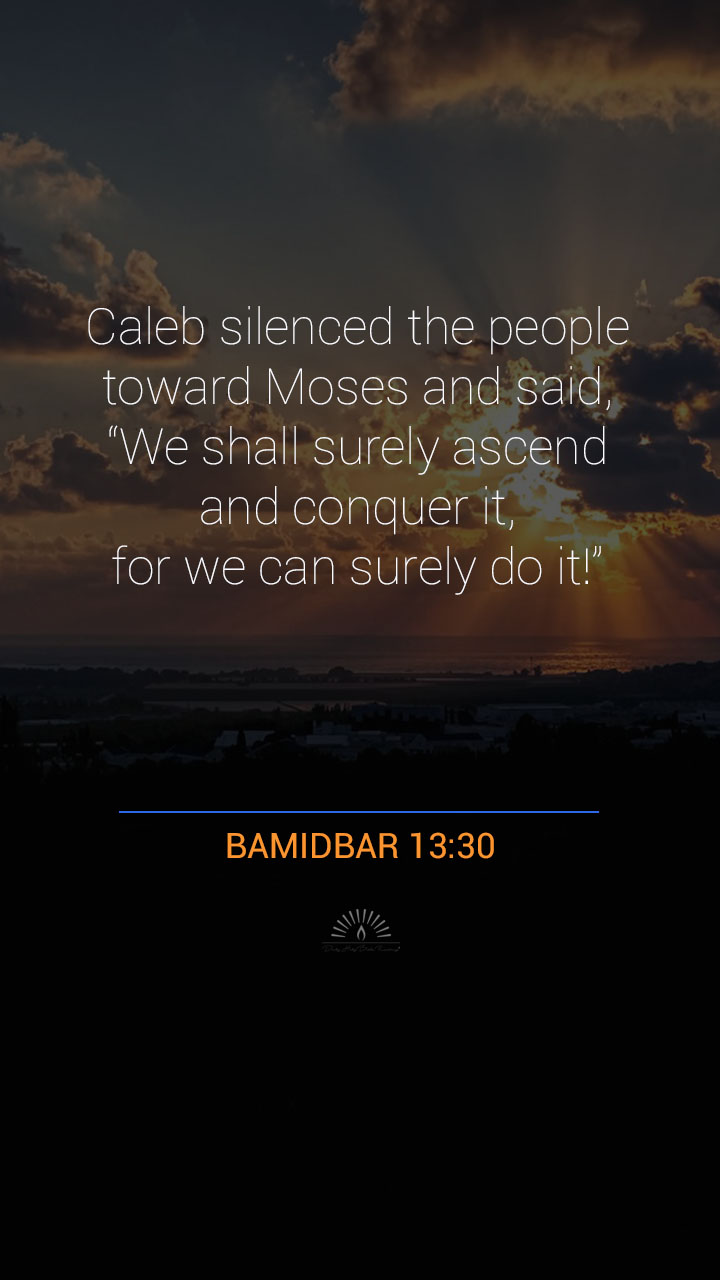 Numbers Chapter 13 | One Chapter A Day