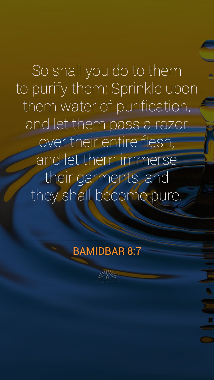 Numbers Chapter 8 | One Chapter A Day