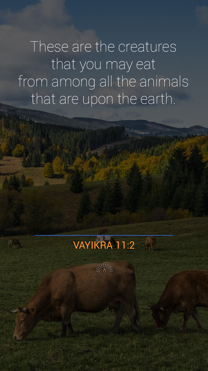 LEVITICUS Chapter 11 | Daily Holy Bible Reading