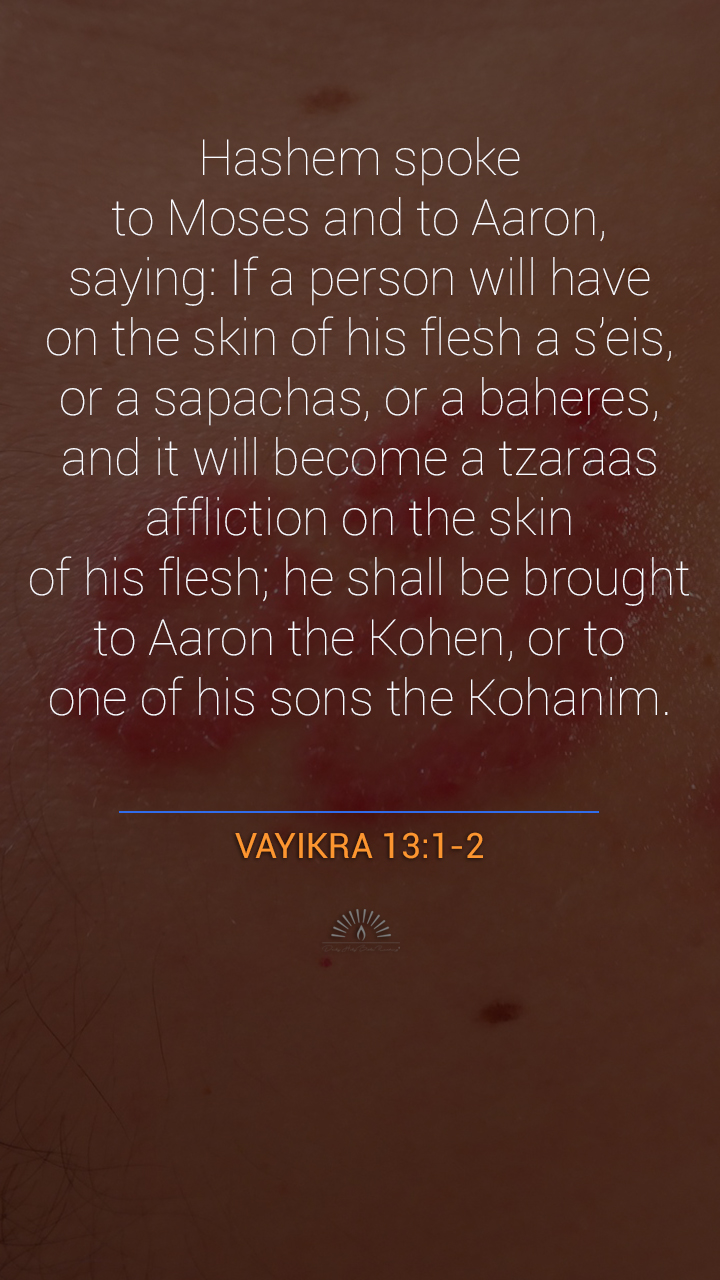 Leviticus Chapter 13 | One Chapter A Day