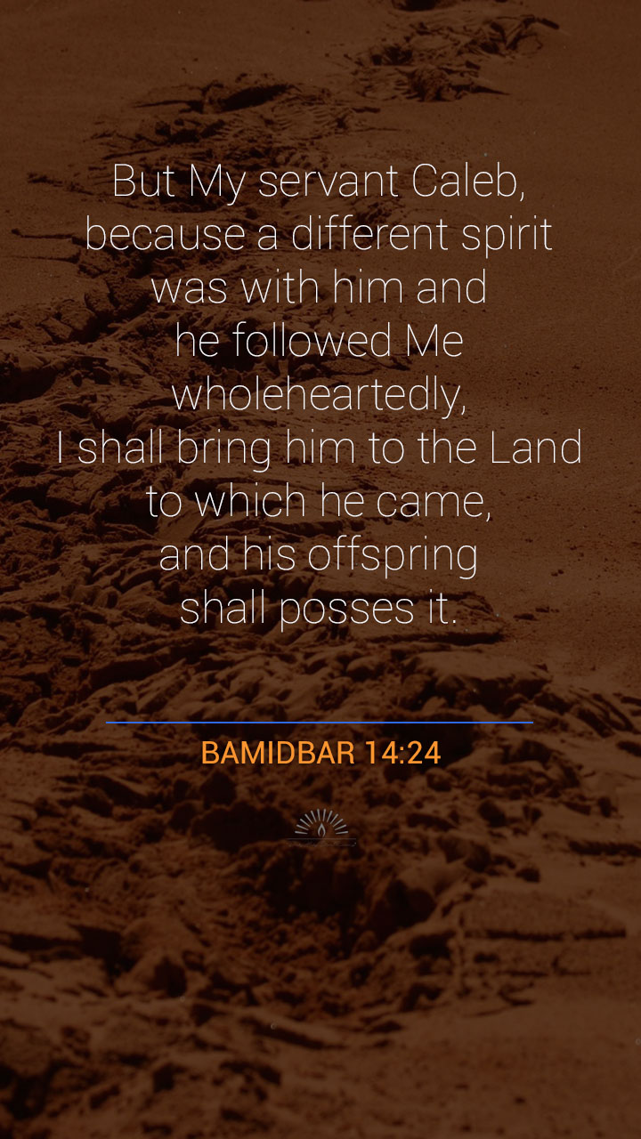 Numbers Chapter 14 | One Chapter A Day