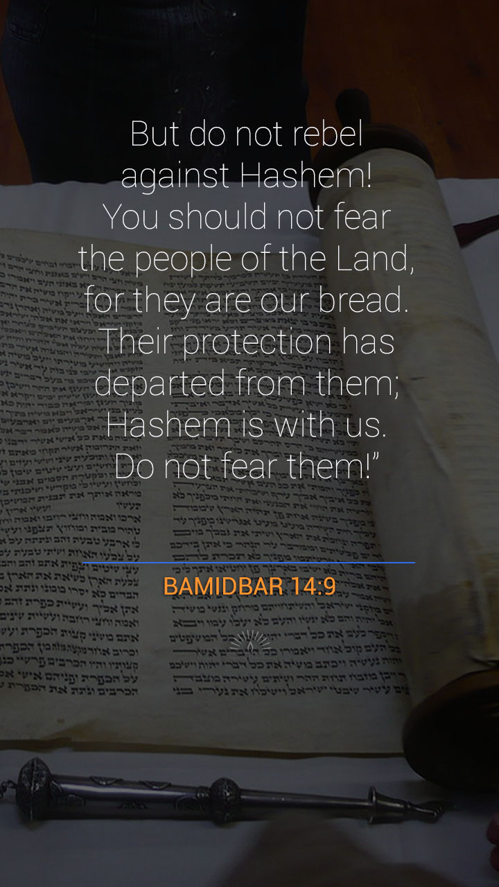 NUMBERS Chapter 14 | Daily Holy Bible Reading