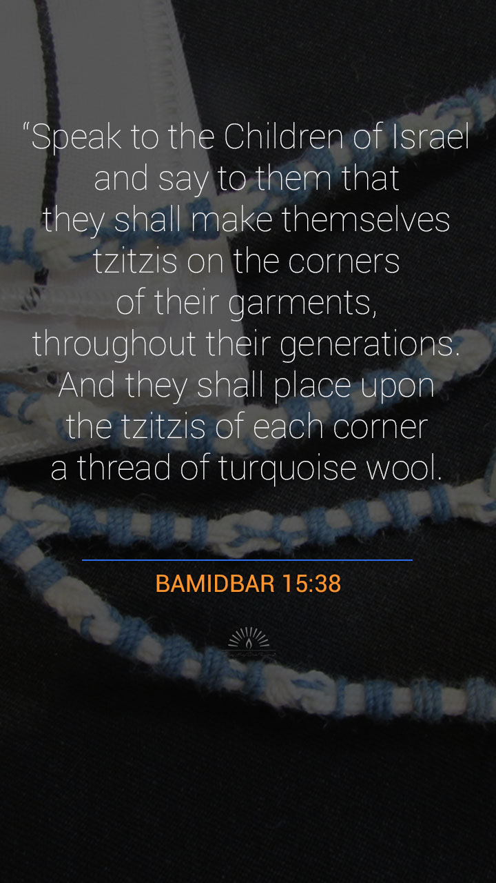 NUMBERS Chapter 15 | Daily Holy Bible Reading