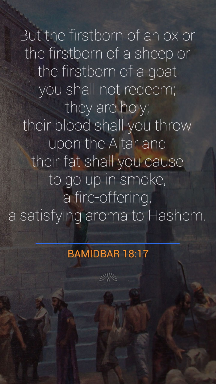 NUMBERS Chapter 18 | Daily Holy Bible Reading