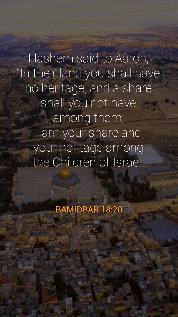 Numbers Chapter 18 | One Chapter A Day