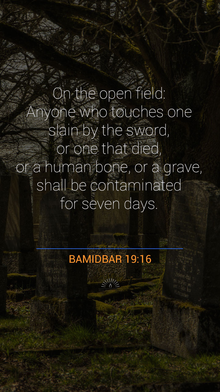 NUMBERS Chapter 19 | Daily Holy Bible Reading