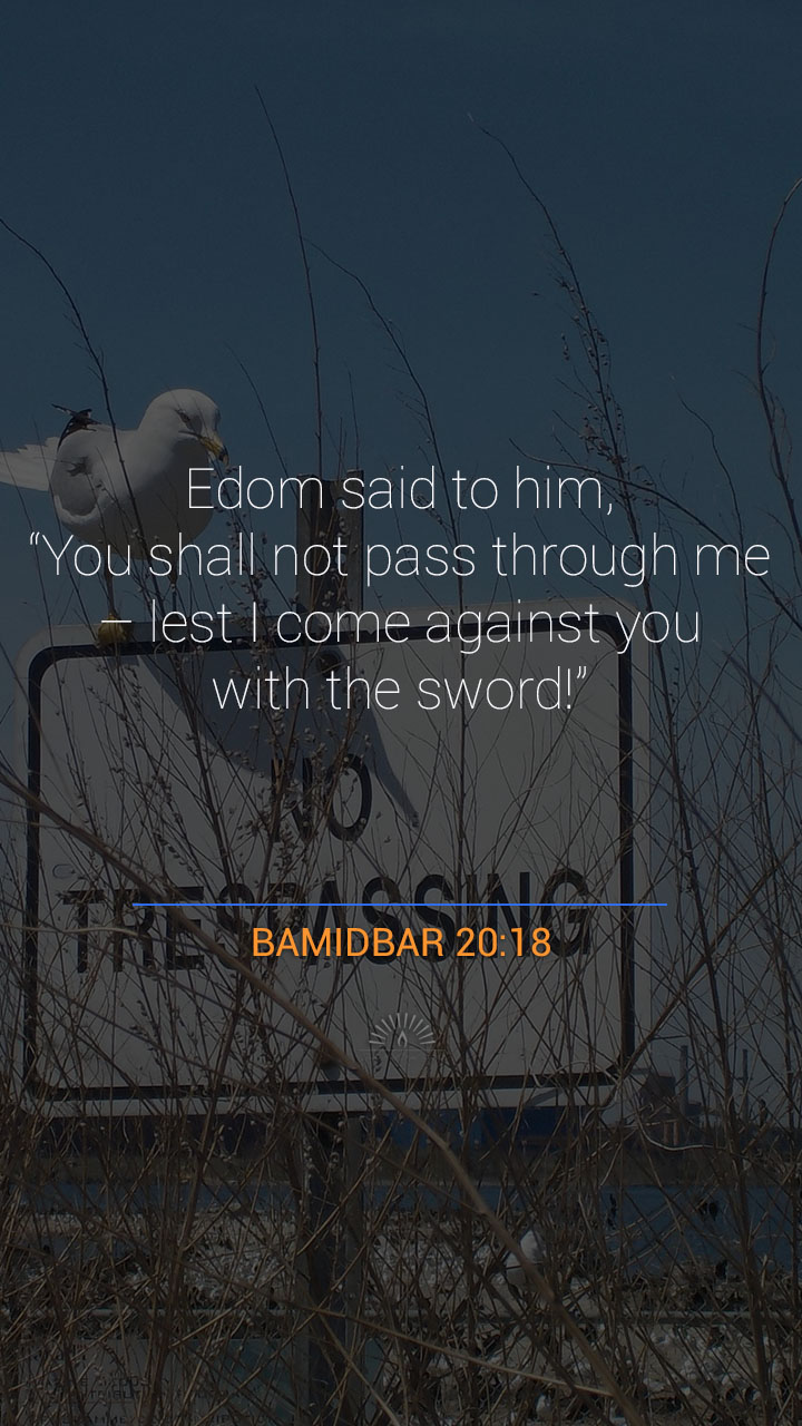 NUMBERS Chapter 20 | Daily Holy Bible Reading