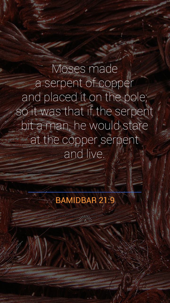 NUMBERS Chapter 21 | Daily Holy Bible Reading