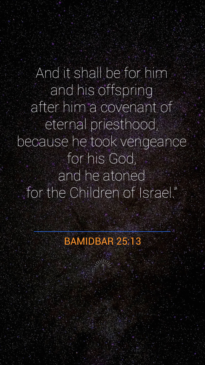 Numbers Chapter 25 | One Chapter A Day