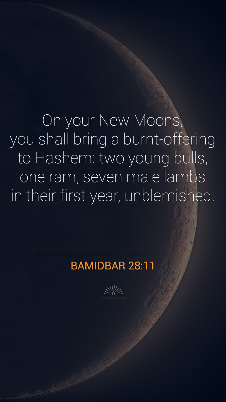 NUMBERS Chapter 28 | Daily Holy Bible Reading