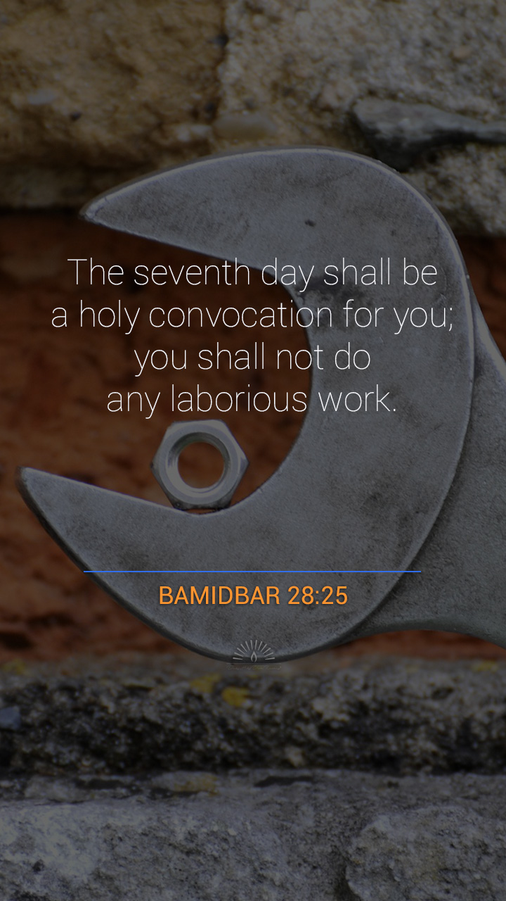 Numbers Chapter 28 | One Chapter A Day