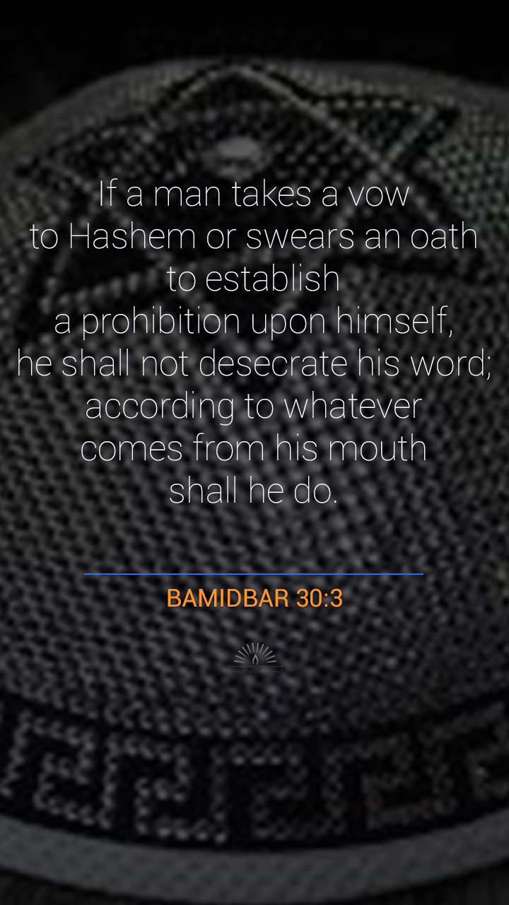 Numbers Chapter 30 | One Chapter A Day