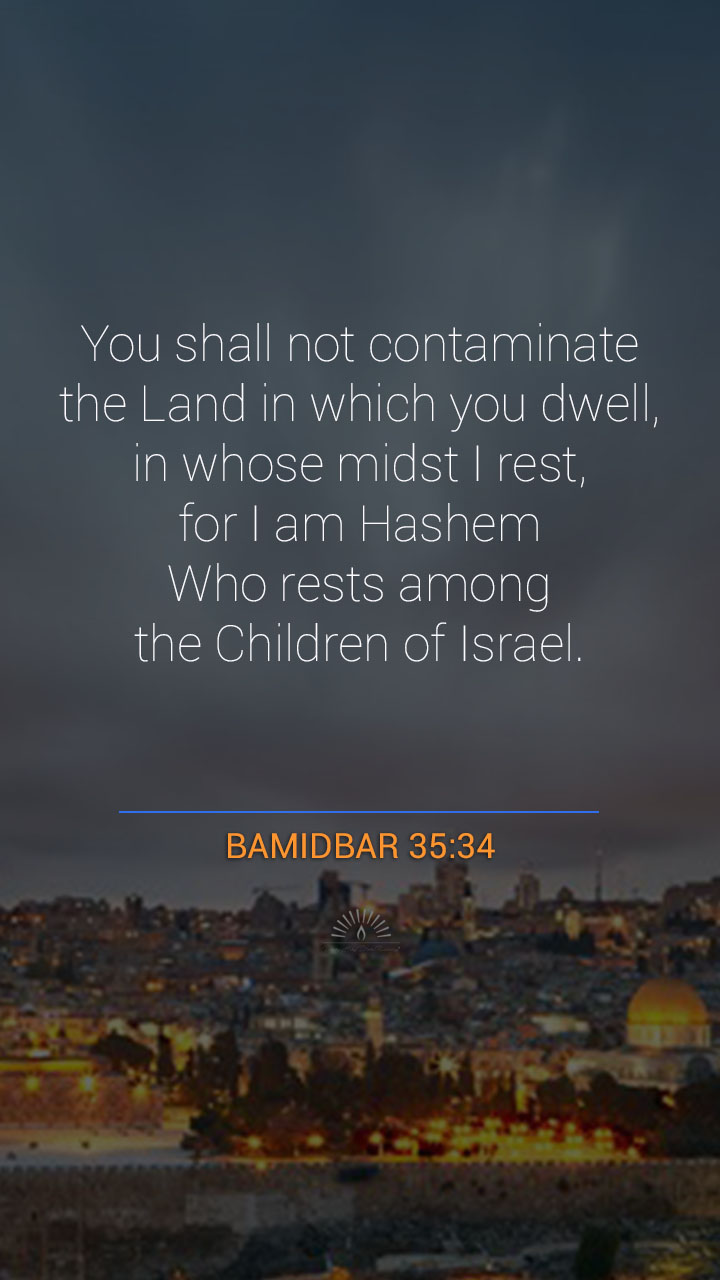 Numbers Chapter 35 | One Chapter A Day