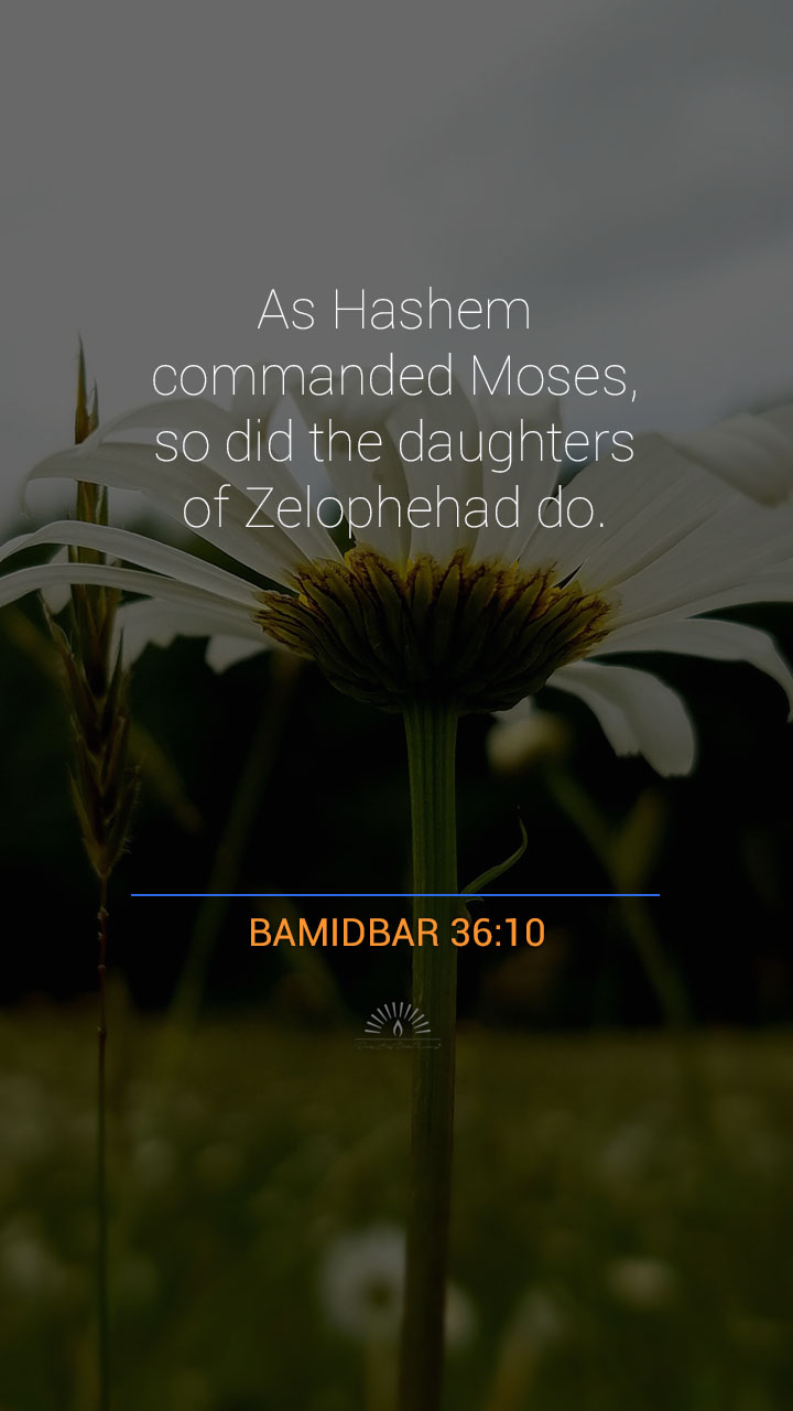 NUMBERS Chapter 36 | Daily Holy Bible Reading