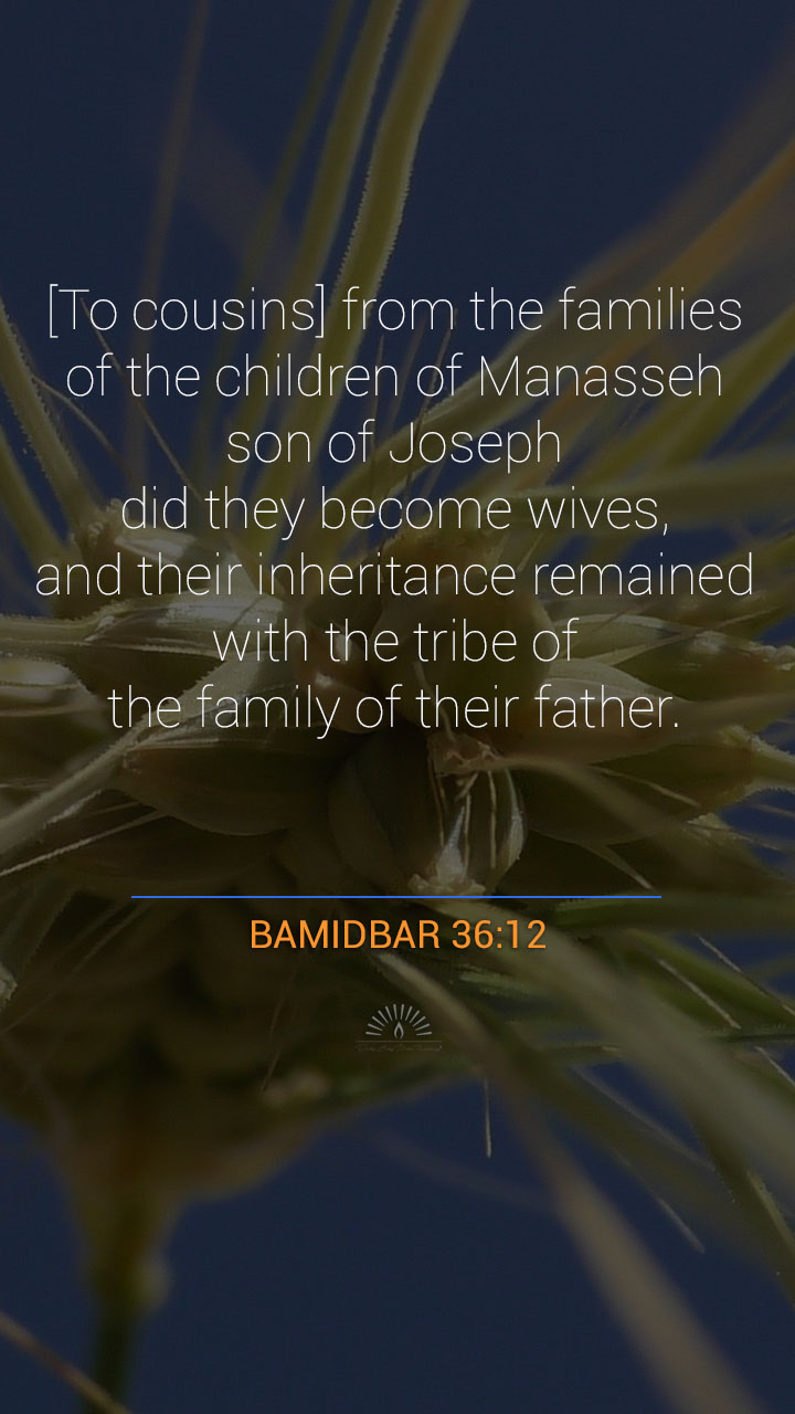 NUMBERS Chapter 36 | Daily Holy Bible Reading