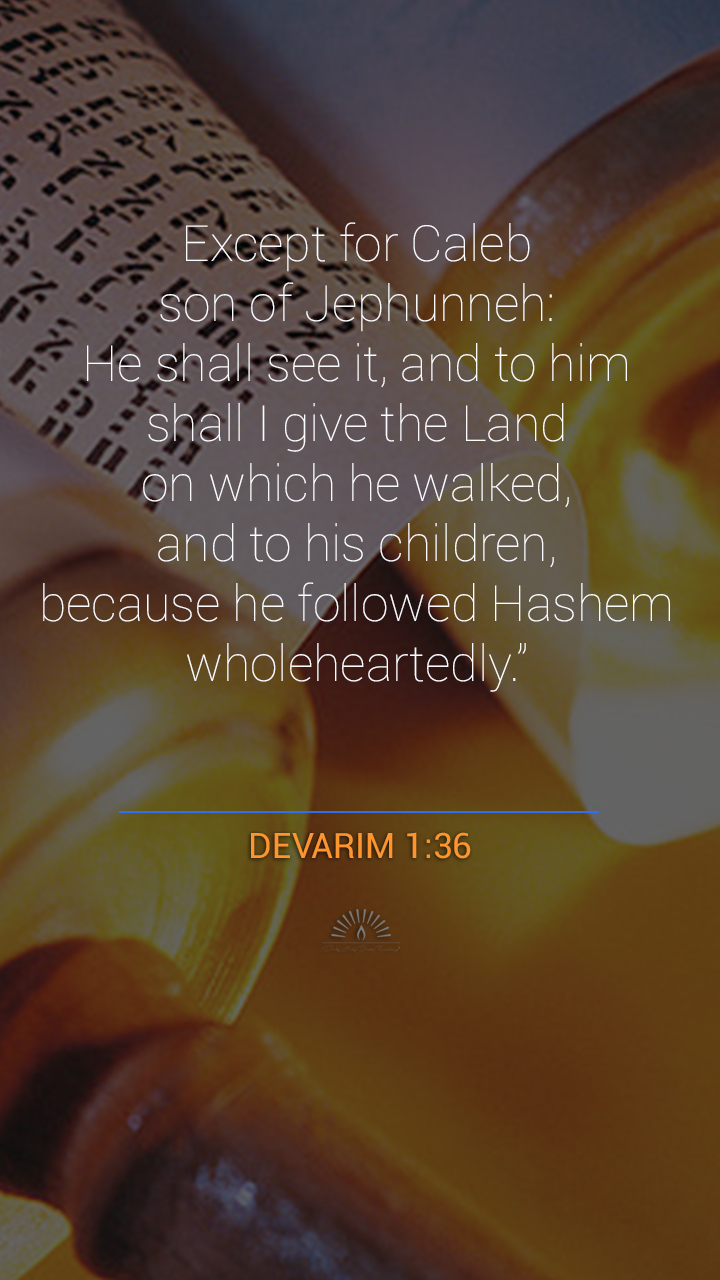 Deuteronomy Chapter 1 | One Chapter A Day
