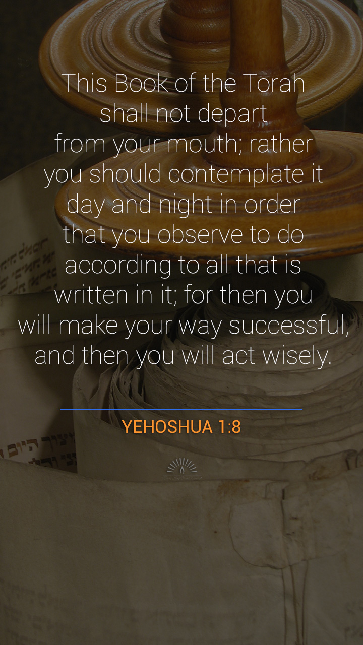 Joshua Chapter 1 | One Chapter A Day