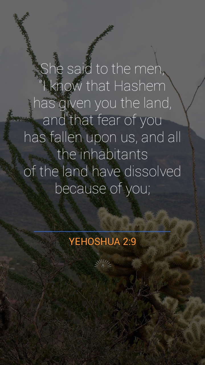 JOSHUA Chapter 2 | Daily Holy Bible Reading